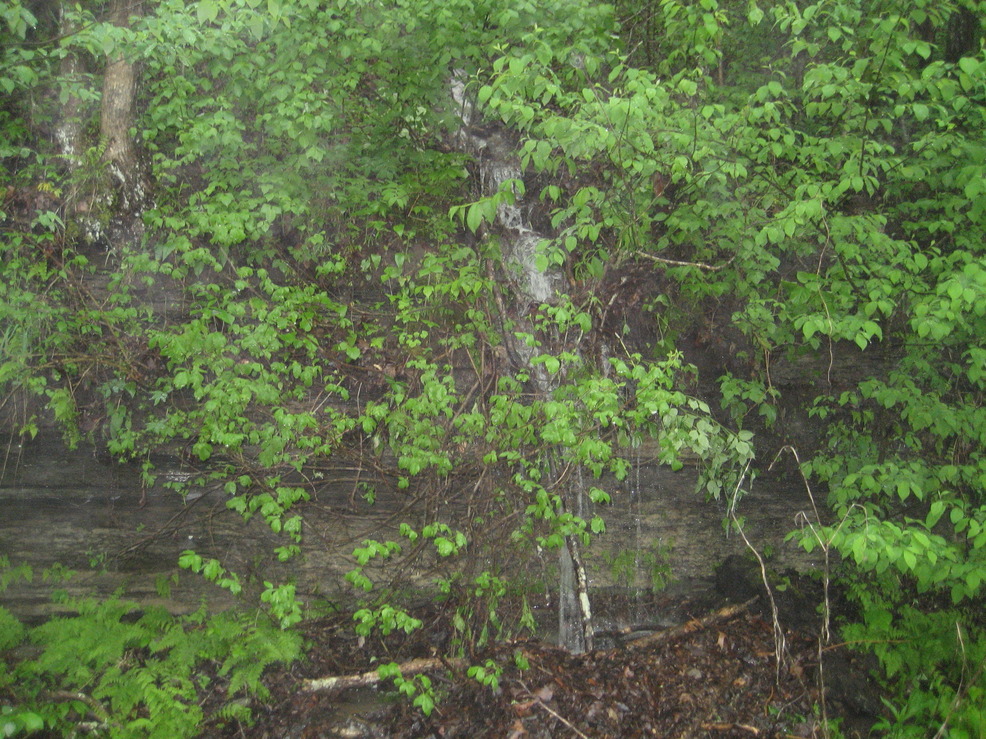 Edmonton, KY : Waterfall in Metcalfe County May 2 2010 photo, picture ...