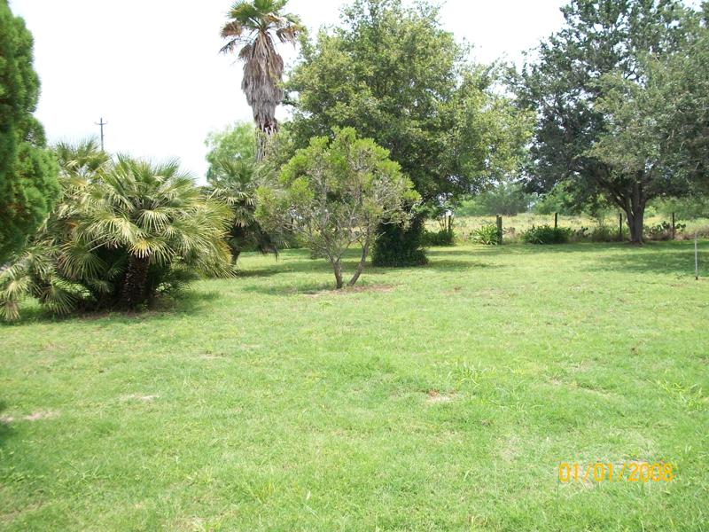 Sandia, TX : Beautiful Country Living In Sandia, TX photo, picture ...