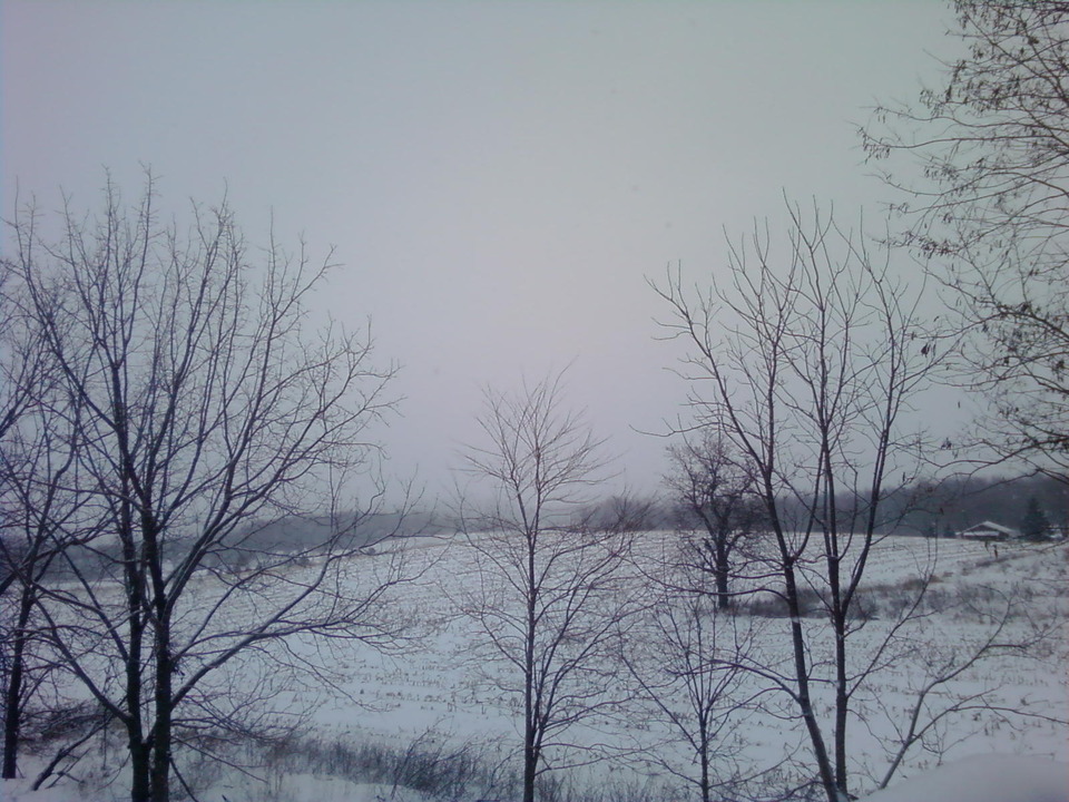 East Bloomfield, NY : Winter scene in East Bloomfiled photo, picture ...