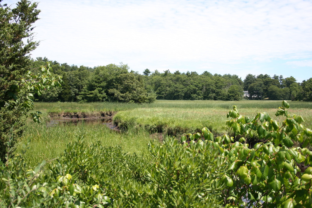 Marshfield, MA : South River Marsh Facing east photo, picture, image ...