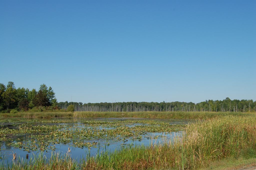 Reminderville, OH : view of the lake in reminderville photo, picture ...