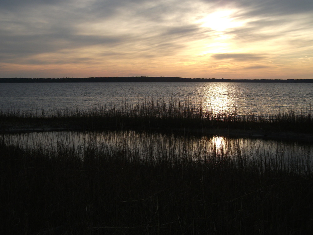 Laurel Bay, SC : Water View on Laural Bay photo, picture, image (South ...