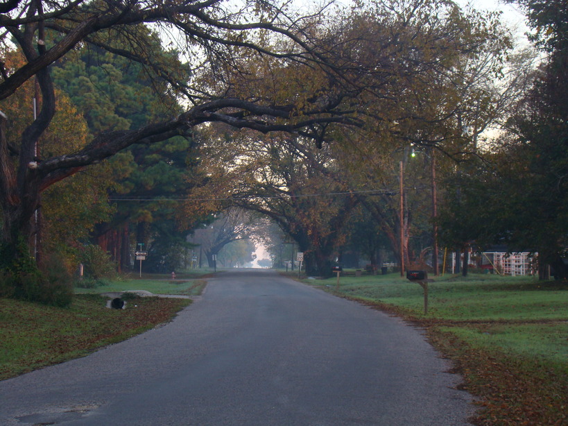 Collinsville, TX : Looking North down Broadway photo, picture, image ...