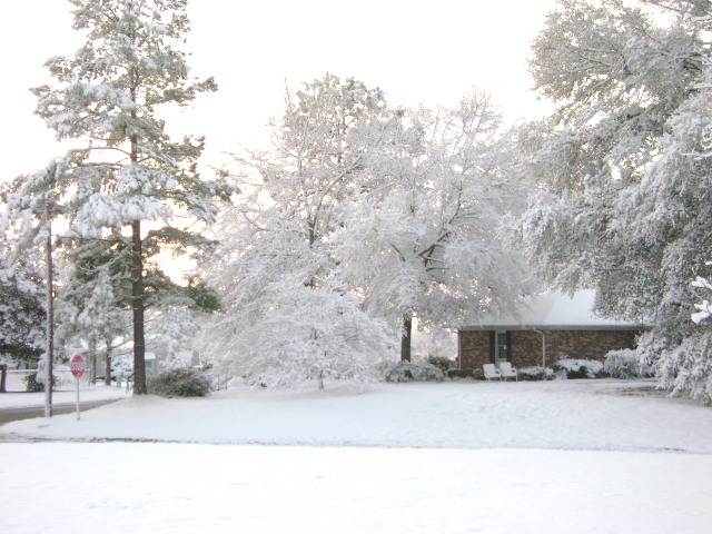 Barnwell, SC : the first snow i witnessed in barnwell photo, picture ...