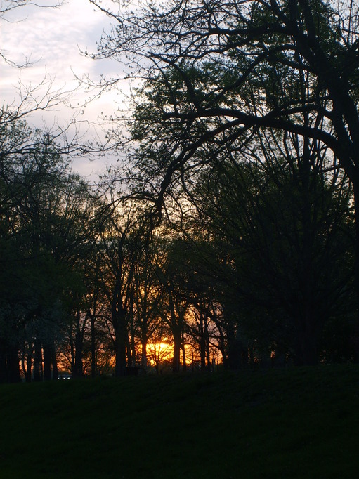 Muncie, IN : sunset through the trees at white river photo, picture ...