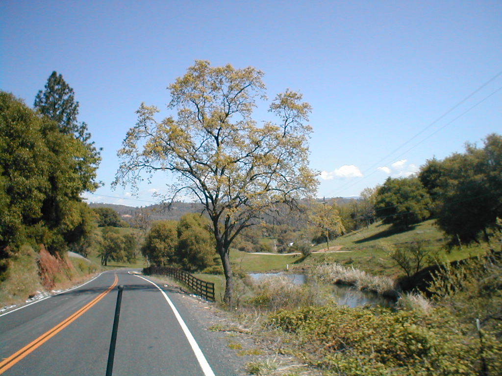 Mountain Ranch, CA : Mountain Ranch photo, picture, image (California ...
