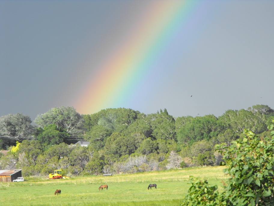 Eagar, AZ : After the storm photo, picture, image (Arizona) at city ...