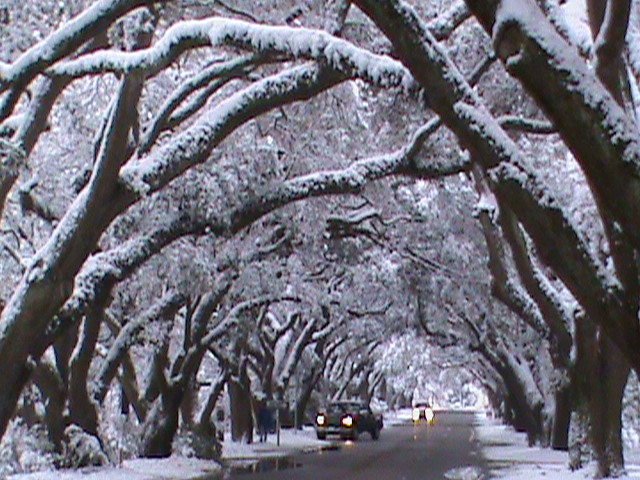 Aiken, SC : The Blizzard Of Aiken 2010 photo, picture, image (South ...