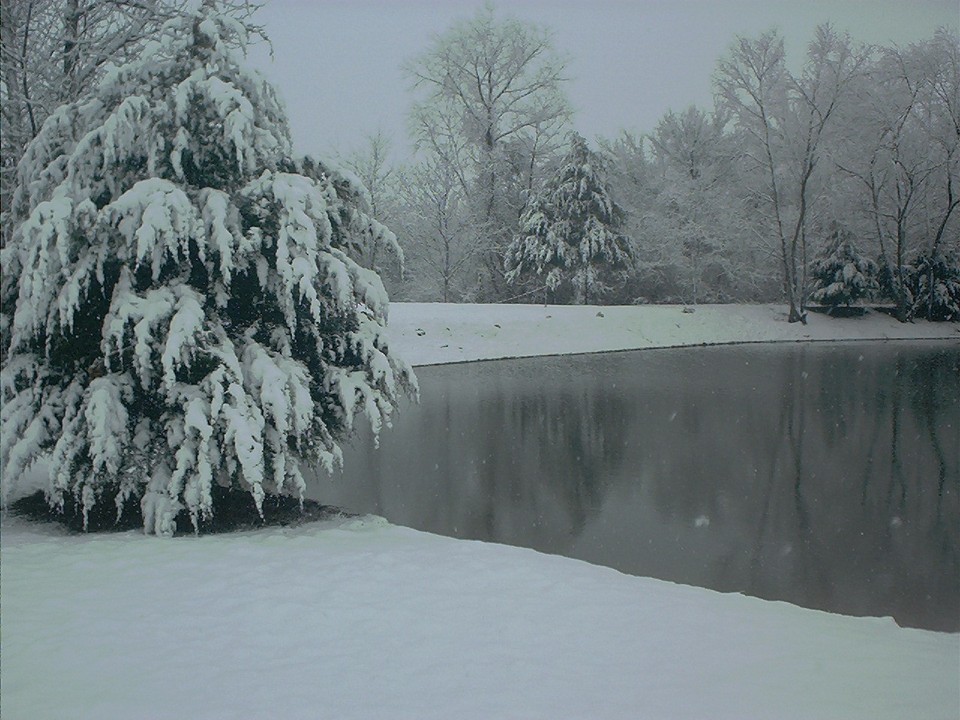 Hardesty, OK : Pond in Rockwall, TX photo, picture, image (Oklahoma) at ...