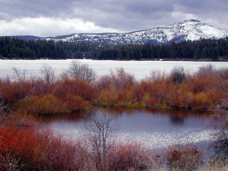 Libby, MT : Look Lake, part of Chain-of-Lakes State park 40 mile SW of ...