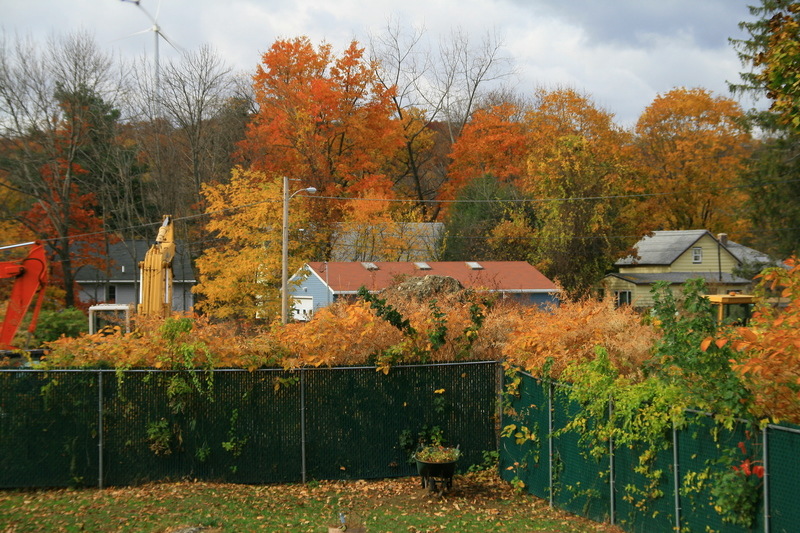 Worcester, MA : fall color on massasoit road photo, picture, image ...