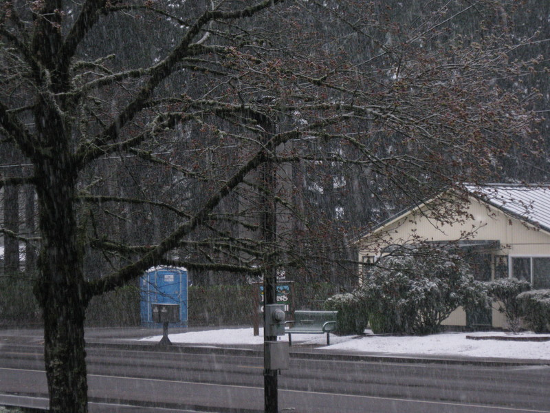 Lyons, OR : Lyons City Hall in the May snow photo, picture, image ...