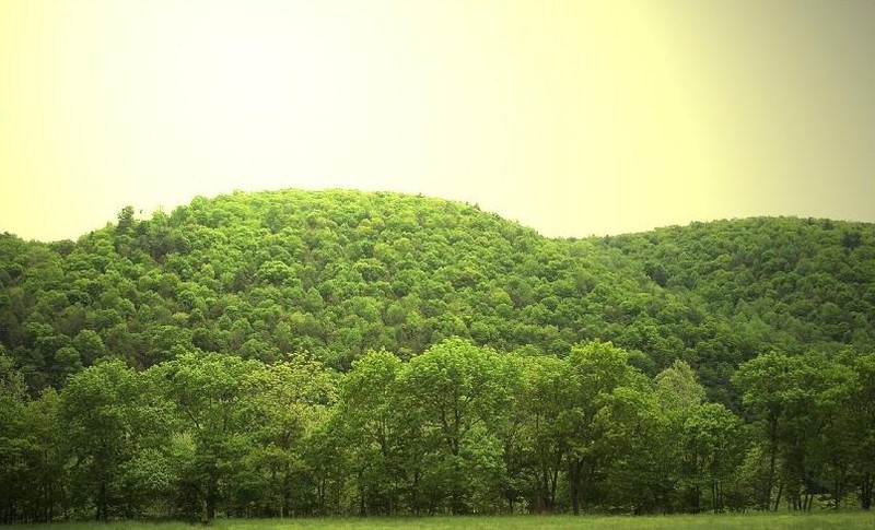 Franklin, WV : a BEAUTIFUL snapshot of the mountainside of Franklin, WV ...