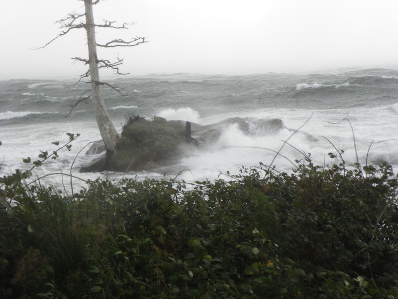 Tokeland, WA : Tokeland photo, picture, image (Washington) at city-data.com