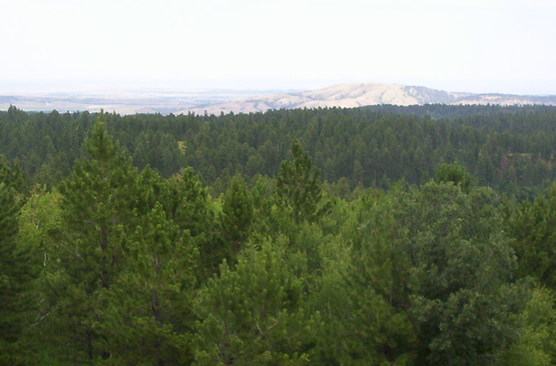 Deadwood, SD : Deadwood photo, picture, image (South Dakota) at city ...