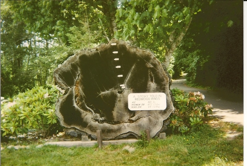 Hebo, OR : picture out in the country photo, picture, image (Oregon) at ...