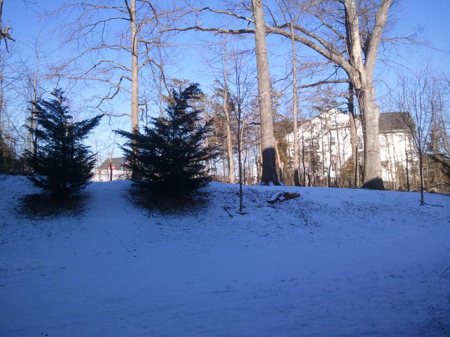 Gainesville, VA : Snow Day in Gainesville photo, picture, image ...