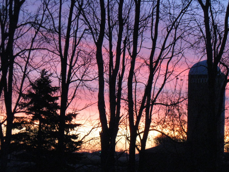 Green Isle, MN : Wakeup Call of Beautiful Color, Green Isle, MN photo ...