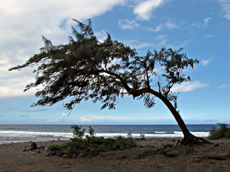 Waikoloa Village, HI : Waipeo Valley, Hawaii photo, picture, image ...