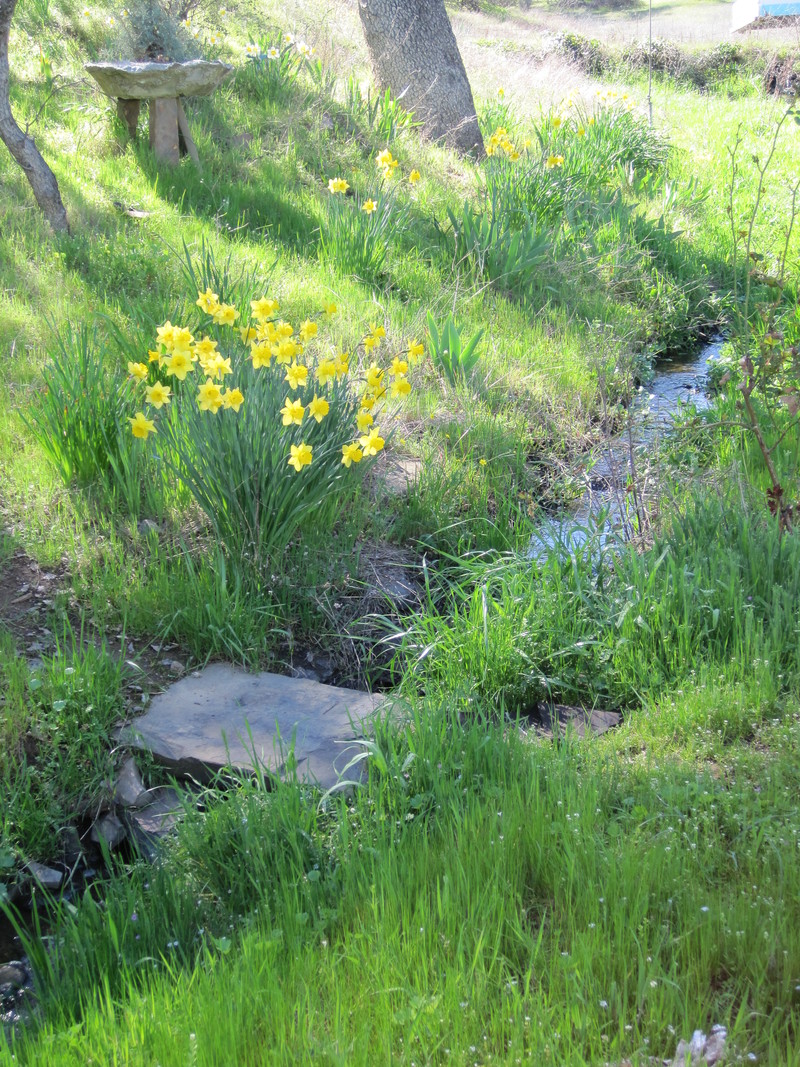Southwest Shasta, CA : Outside of Ono, CA photo, picture, image ...