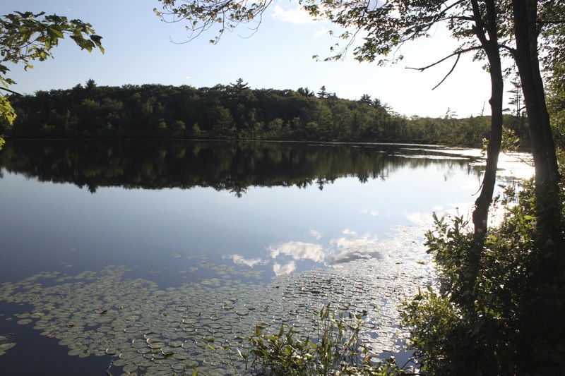 Boxford, MA : Boxford, MA photo, picture, image (Massachusetts) at city ...