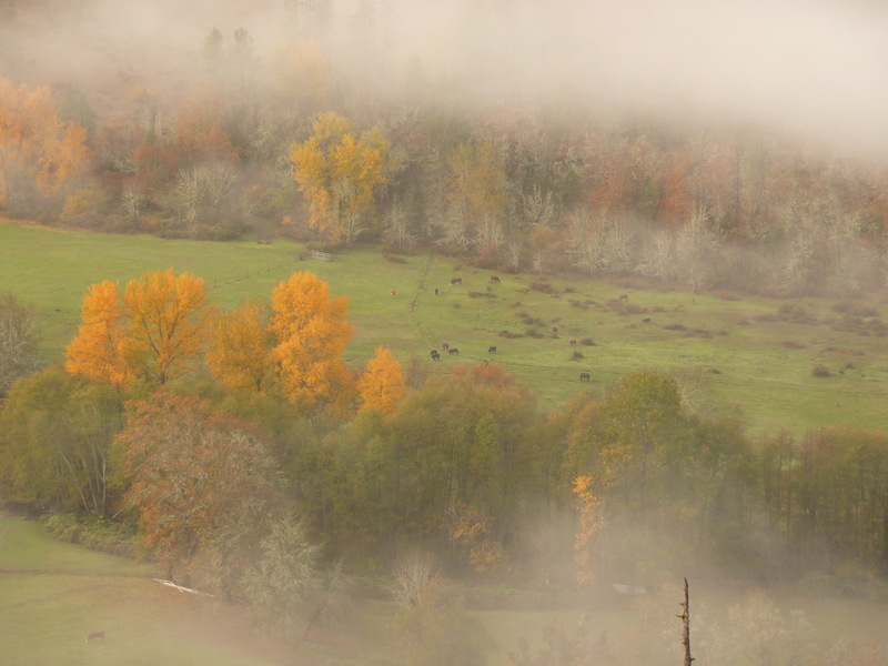 Williams, OR : Williams,oregon Fall view photo, picture, image (Oregon ...