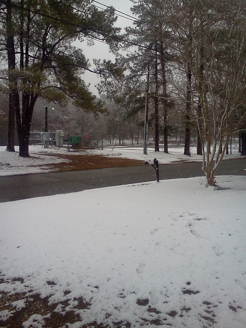 Florence, SC : Winter at Mcleod Park photo, picture, image (South ...