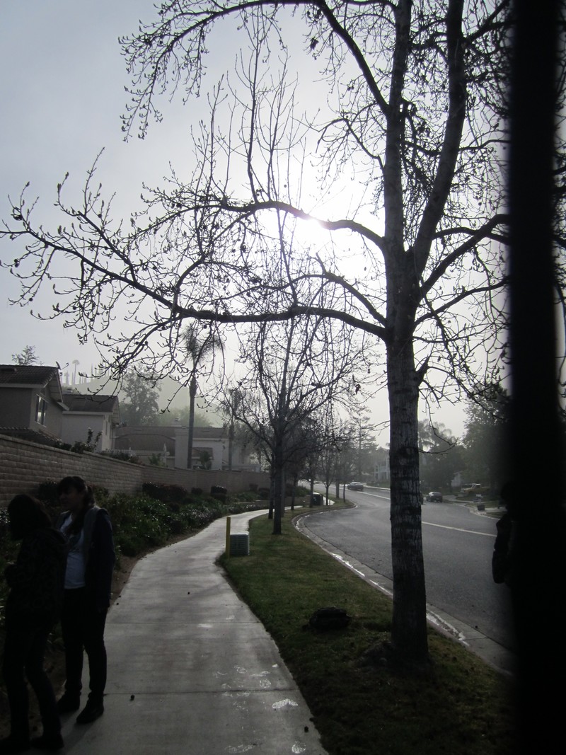 Rubidoux, CA : A beautiful morning photo, picture, image (California ...