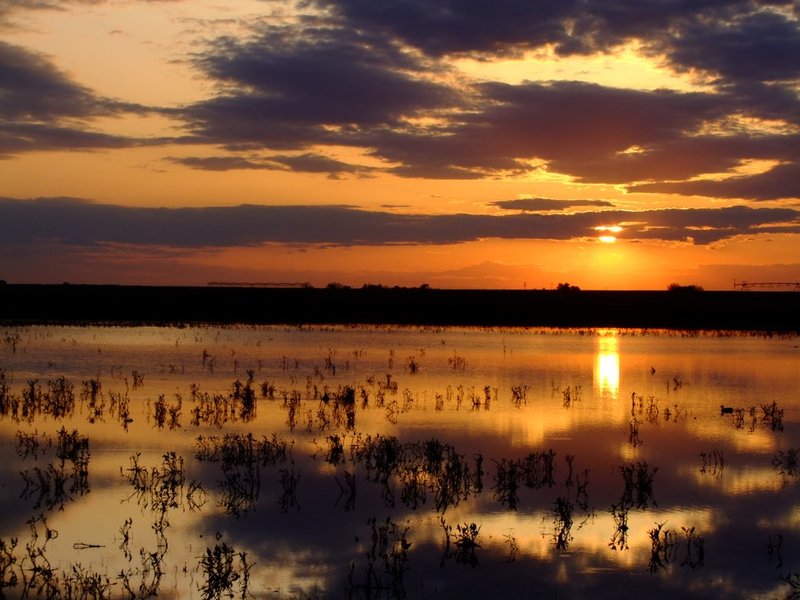 Harvard, NE : Sunset outer edges of Harvard photo, picture, image ...