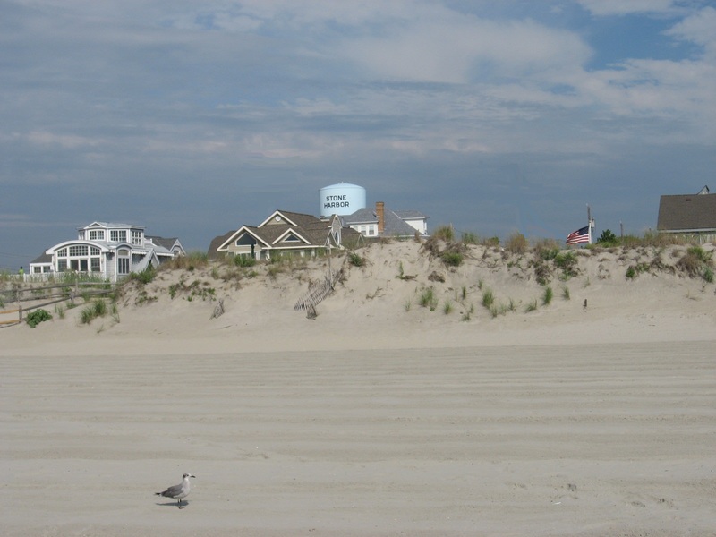Stone Harbor, NJ : Stone Harbor Beach in the morning photo, picture ...