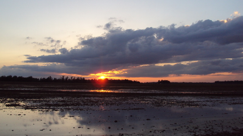 Hughes, AR : A beautiful sunset in Hughes photo, picture, image ...