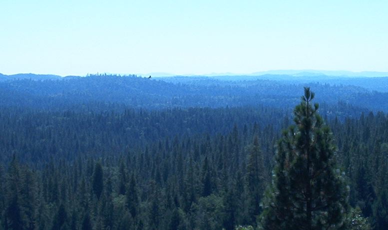 West Point, CA : Hilltop at Bald Mountain rd. and Hunter creek. photo ...