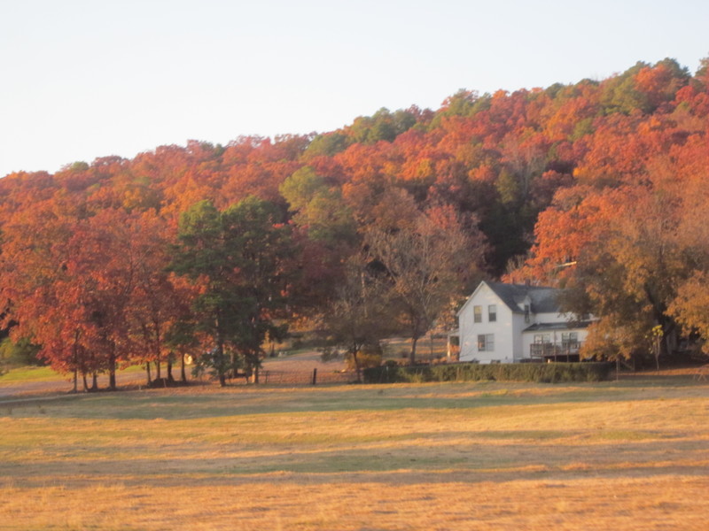 Altus, AR : a old country house in the mist of fall photo, picture ...