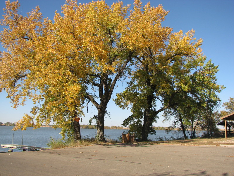 Balaton, MN : Lake Yankton shore, Balaton, MN photo, picture, image ...