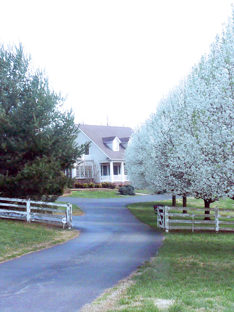 Somerset, KY : Spring in Somerset photo, picture, image (Kentucky) at ...