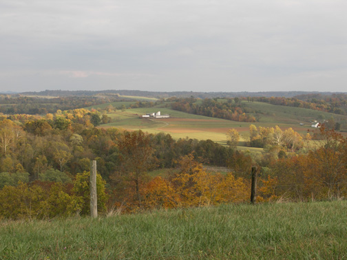Flemingsburg, KY : A view from one of the many hillsides around ...