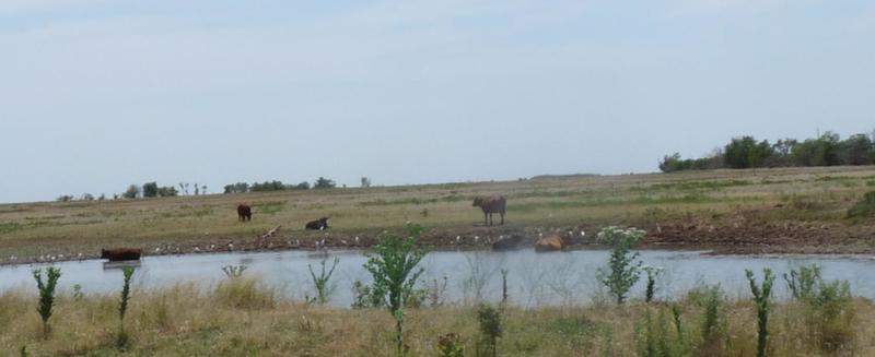 Elgin, OK : Elgin Area Photos 9 photo, picture, image (Oklahoma) at ...