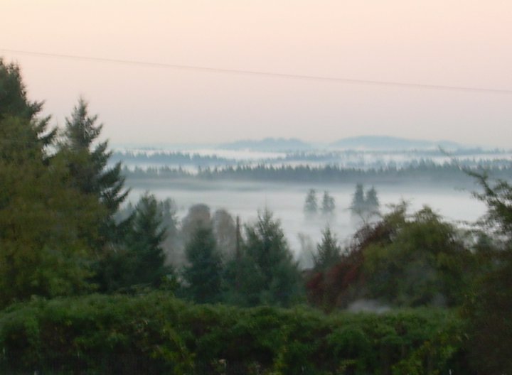 Hockinson, WA : Hockinson is Heaven photo, picture, image (Washington ...