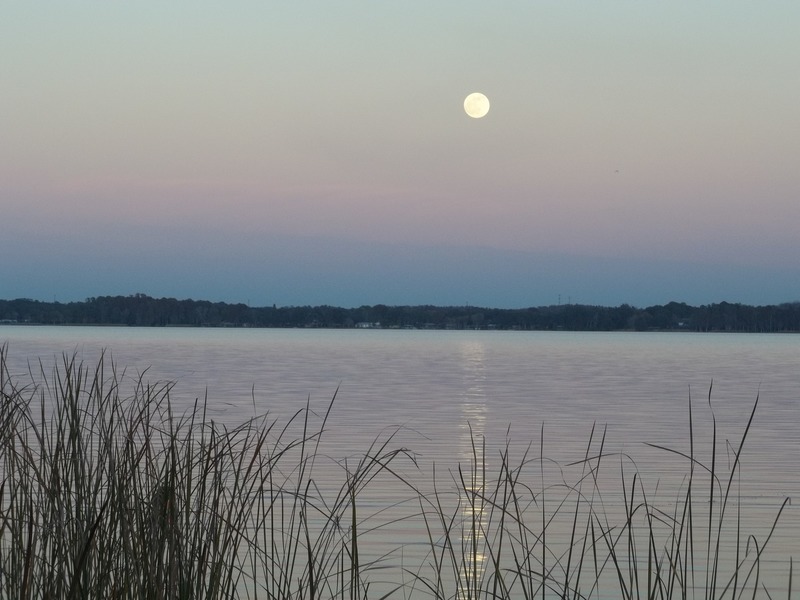 Holiday, FL : Anderson Park photo, picture, image (Florida) at city ...