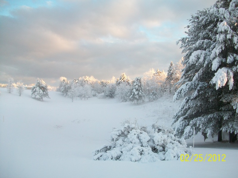 Buckfield, ME : Backyard MorrillStreet photo, picture, image (Maine) at ...