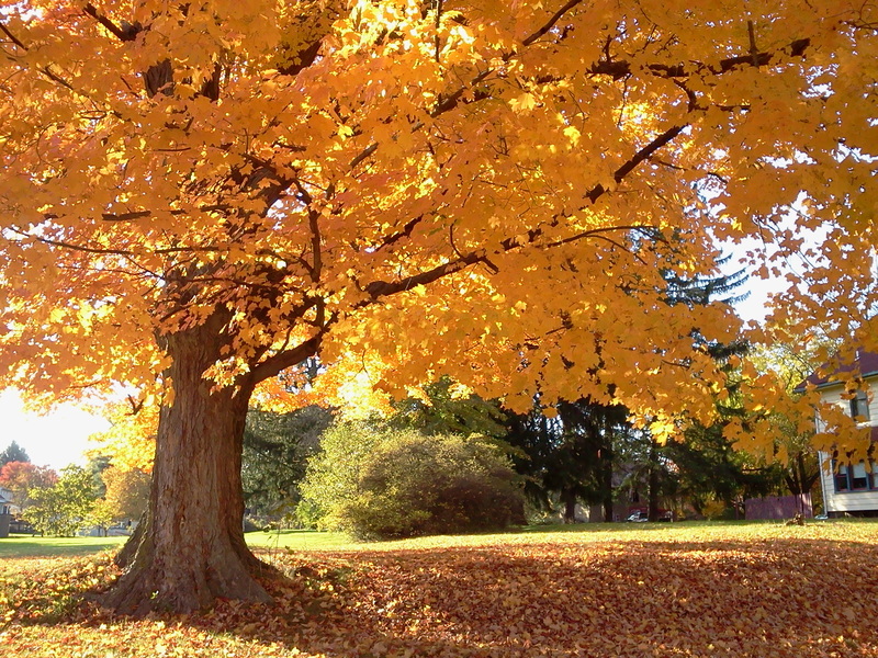 Moosic, PA : Fall Ride, 2012 photo, picture, image (Pennsylvania) at ...