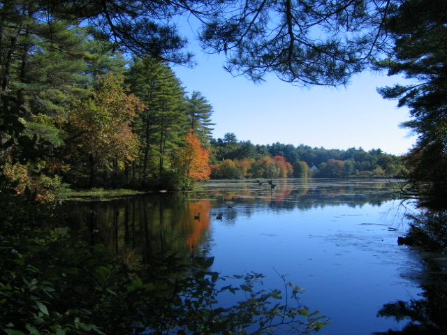Carlisle, MA : Greenough Pond (Autumn 2011) photo, picture, image ...