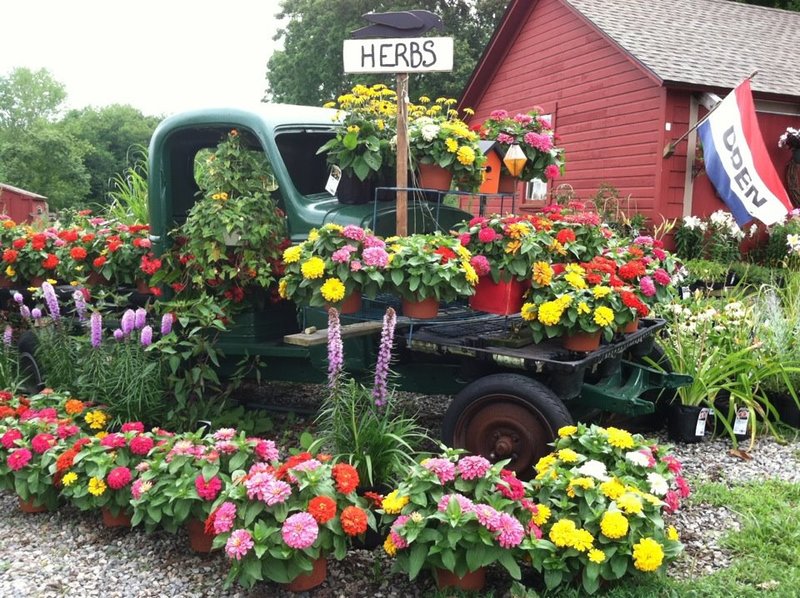 Preston, CT : Old farm truck on route 164 in front of Roseledge Country ...