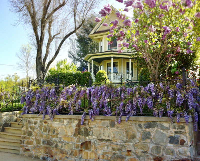 Jackson, CA : Victorian in Jackson California photo, picture, image ...