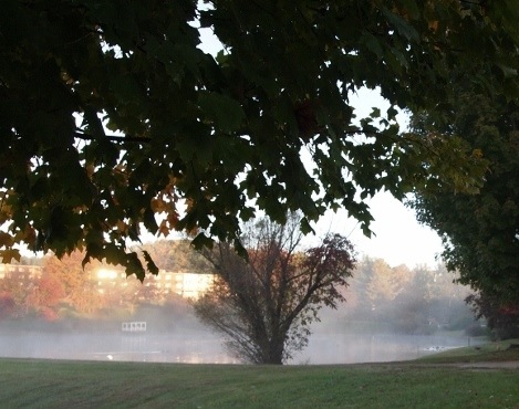 Ferrum, VA : mountains near freeum college photo, picture, image ...