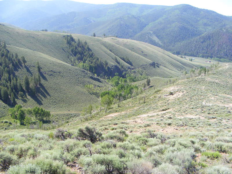 Pitkin, CO : Just outside of Pitkin...near Quartz Creek on top..4 ...