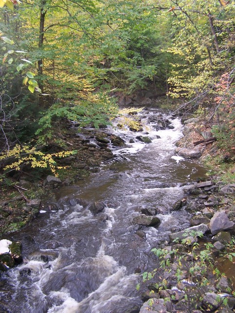 Augusta, ME : Autumn Stream photo, picture, image (Maine) at city-data.com