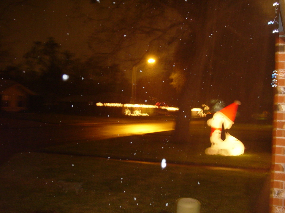 Clute, TX : Clute in snow. photo, picture, image (Texas) at city-data.com