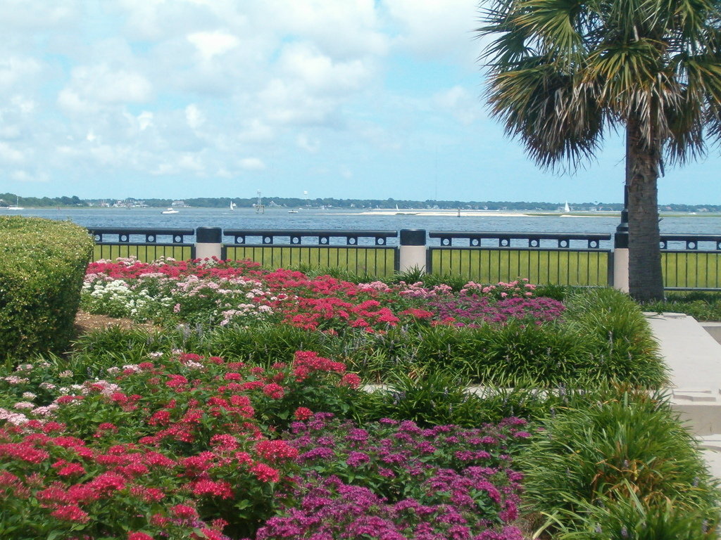 Charleston, SC : Waterfront Park photo, picture, image (South Carolina ...