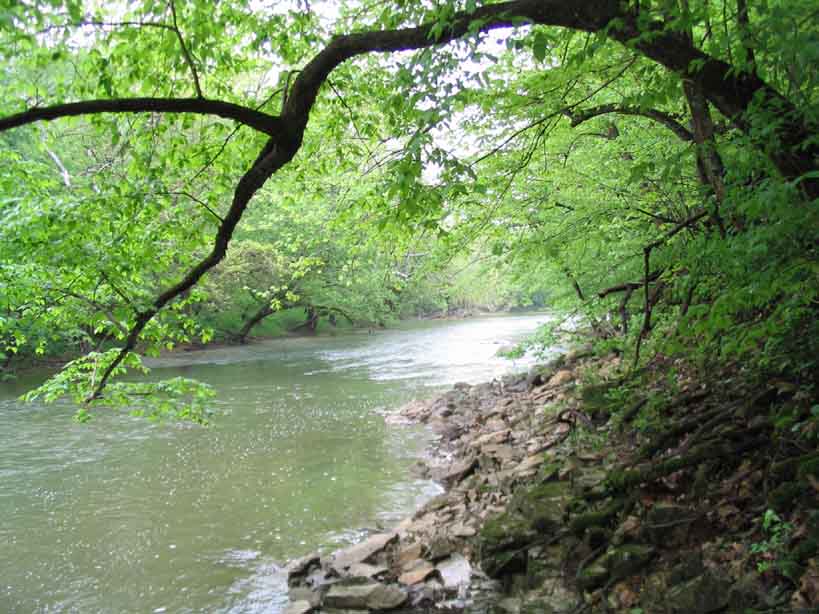 Union, MS : Robert Ray Edwards 1914 union mississippi photo, picture ...